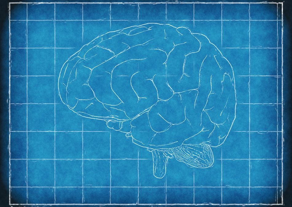 Your Mental Blueprint- A Window To Your Happiness - Tyson Coaching